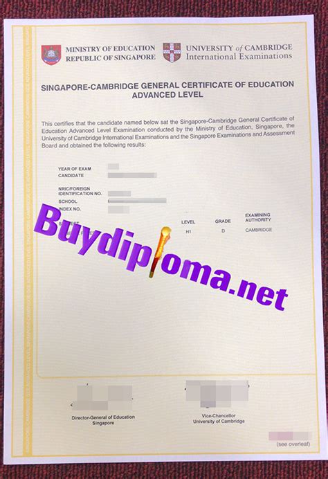Who Needs To Buy Fake Certifcate Of Singapore Cambridge Fake College Diploma Fake Degree