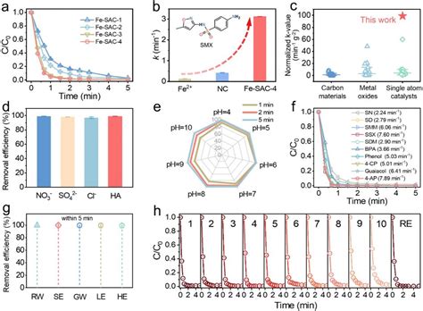 Using A Data Driven Approach To Synthesize Single Atom Catalysts That Can Purify Water Asia