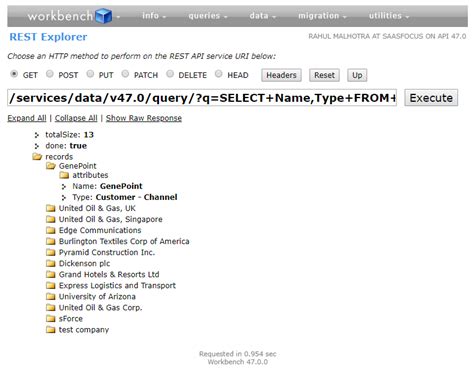 Salesforce Integration Tutorial Part 1 Introduction And Setting Up