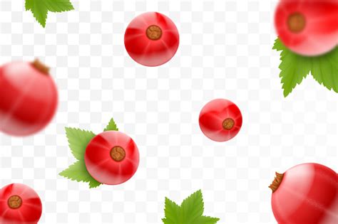 레드커런트 배경 투명한 배경에 녹색 잎이있는 빨간 건포도를 날리기 건포도가 다른 각도에서 떨어집니다 초점이 맞춰지고 흐릿한 개체 3d 사실적인 벡터 3차원 형태에 대한 스톡