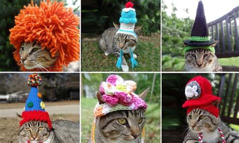 Traci Bunkers Tracibunkers Profile Pinterest