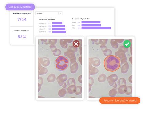 Best Dicom Annotation Tools For Radiology Ai [2024 Review]