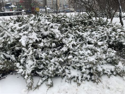 Патріотичні обої на робочий стіл Україна 4К 8000x4484