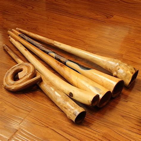 History Of The Aboriginal Didgeridoo Instrument Cultural Significance