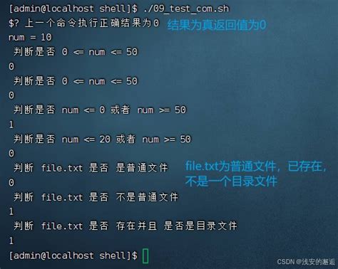 Linux Shell脚本2 Test条件测试语句：文件类型、字符串是否相等、数字大小比较、多重条件判断，测试语句验证linux Shell