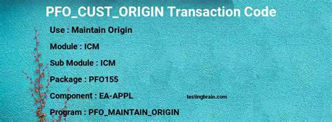PFO CUST ORIGIN SAP Tcode For Maintain Origin