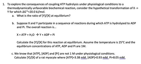 To Explore The Consequences Of Coupling Atp Hydrolysis Under Physiological Conditions To A
