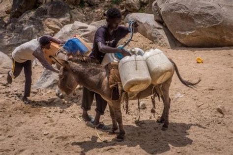 The Eritrea Water Crisis All You Need To Know Water Is A Right