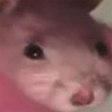 Luminius Official Youtube