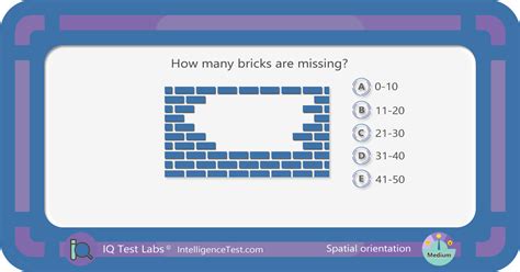 Iq Test Labs Spatial Orientation