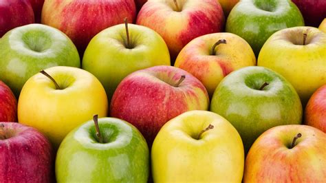 The Best Organic Apple Varieties You Need To Try Today