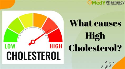 What Causes High Cholesterol MedyPharmacy