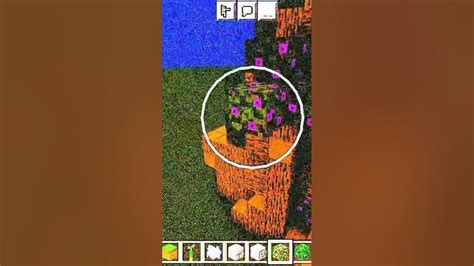 I Build Tree House Youtube