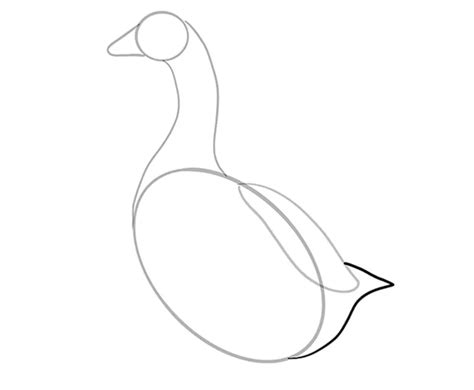 Нарисовать Гуся 50 Фото
