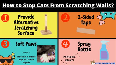 How To Stop Cats From Scratching Walls The Kitty Expert