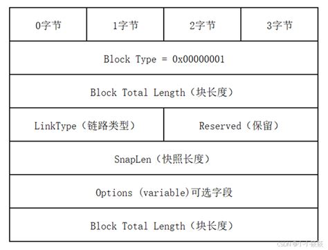 Pcapng格式文件解析笔记 Csdn博客