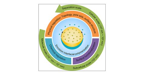 Heterostructured Microparticles From Emulsion Interfacial Polymerization To Separation
