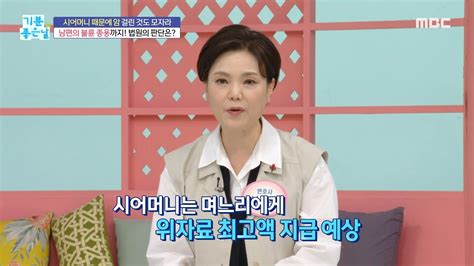 기분 좋은 날 아들의 바람까지 부추긴 시어머니 위자료 청구 사유가 될까 Mbc 240131 방송 Youtube