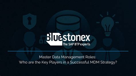 Master Data Management Roles Key Players In Mdm Strategy Bluestonex