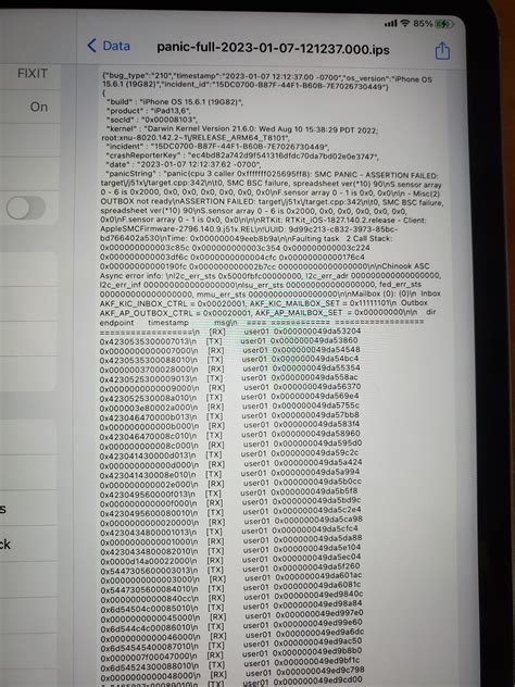 Panic Log Analysis Rmobilerepair