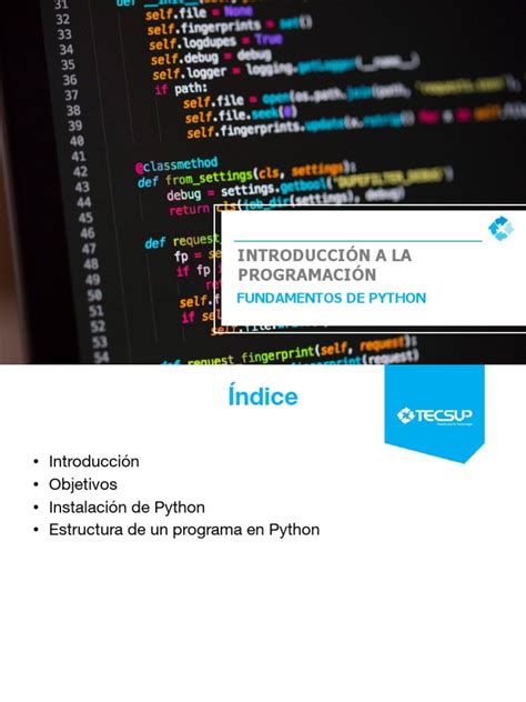 Fundamentos De Python Pdf Python Lenguaje De Programación Programación De Computadoras