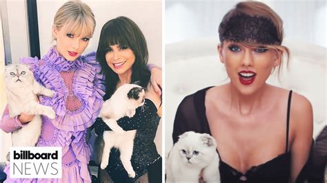 Taylor Swift Cat Olivia Benson Breed