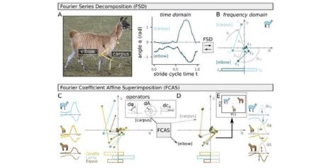 Uantwerp Faculty Of Science On Linkedin On Friday March 1 At 4 Pm Falk Mielke From Our