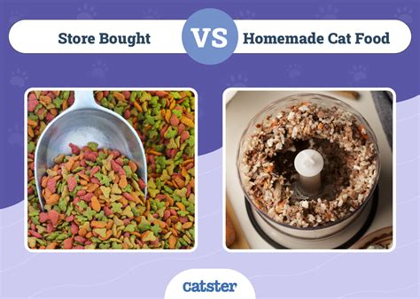 How To Tell Difference Between Calico Tortie Torbie Tabby Cats And Kittens Cat Empire
