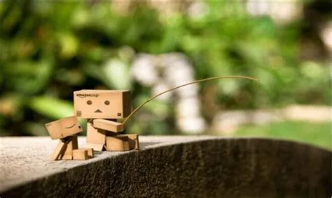 精油入门 小花茉莉 知乎