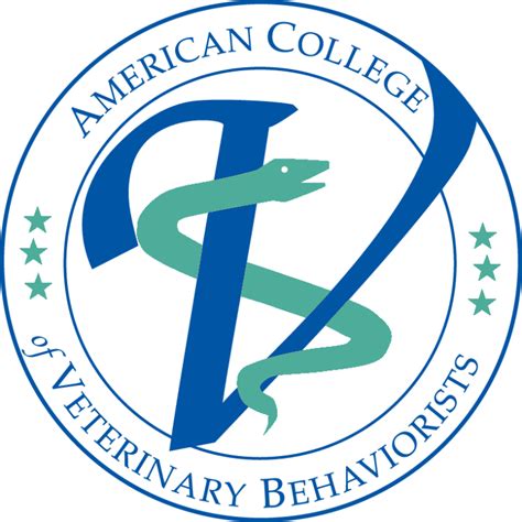 2022 Aafp Isfm Cat Friendly Veterinary Interaction Guidelines Approach