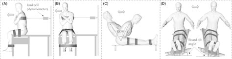 Experimental Setup For Trunk Strength Test In The Forward Direction A Download Scientific