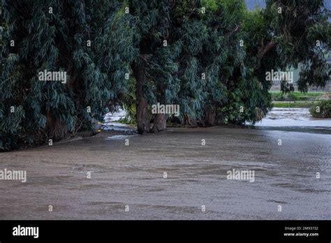 Salinas River Overflowing Its Banks And Flooding Into Agriculture