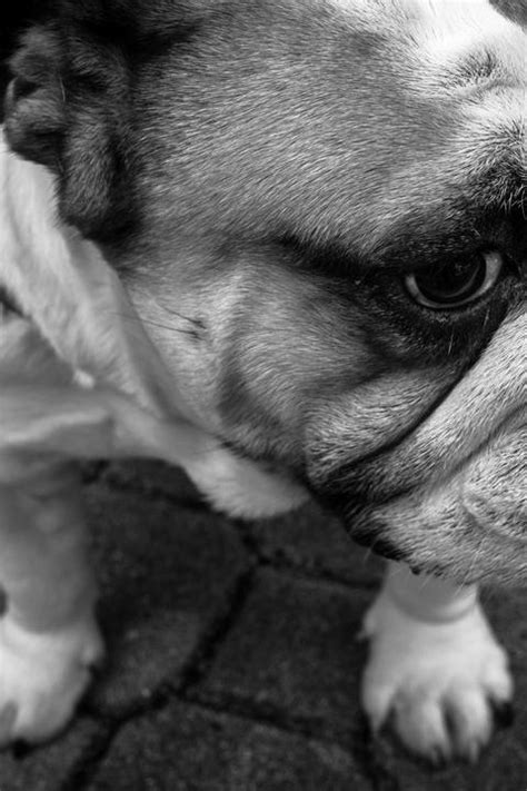 Simple Web Site Sample 34 Responsive Grid System