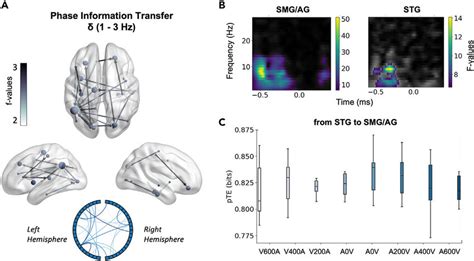 Phase Interactions On Oscillatory Activity Sensitive To Asynchronized Download Scientific