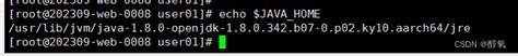 【linux】麒麟v10安装openjdk8麒麟v10 安装openjdk Csdn博客