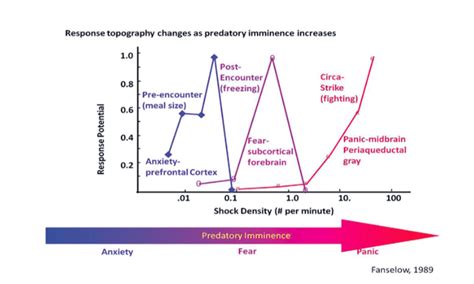 Theoretical Concepts Welcome To The Fanselow Lab