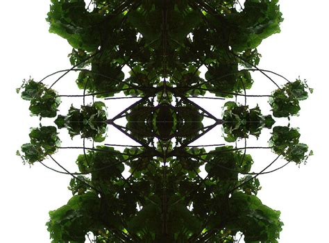 Revolver By Sextoprepa On Deviantart