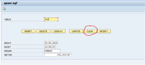 Sap Tech Open Sql Statements