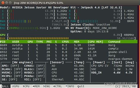 【nvidia Jetson Xavier Nx Agx Nano】上用docker跑pytorch等cv推理应用 Nvidia Docker