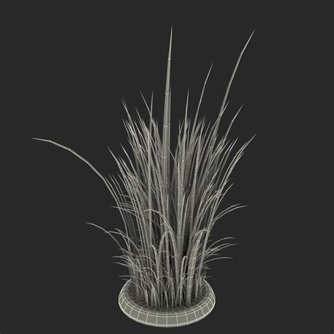 C4d Grass 2