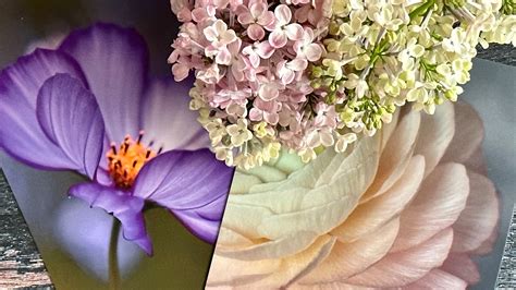 Les Ptits Instants Cartes Florales Pour Fleuristes Création Française