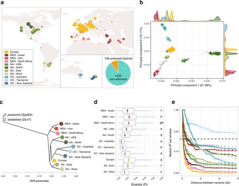 Global Genetic Structure Based On 1109 Genomes A Map Of The Genetic