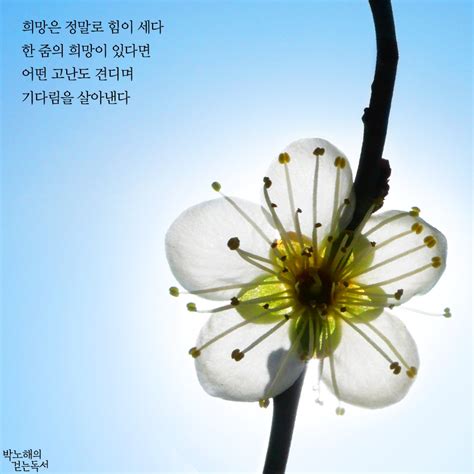 부사가 없는 삶은 없다 는 저의 브런치스토리 연재북이었어요 어느 날 문득 어쩌면이란 부사 하나가 섬광처럼 떠올랐고 부사들로 글을 쓰고 싶다는 강렬한 열망에