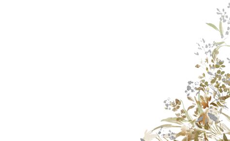 Yasmine Fox And Chilo Rodriguezs Wedding Website The Knot