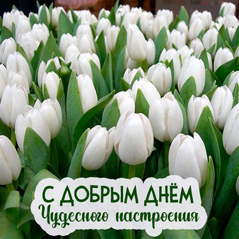 Открытки с добрым днем с надписями и пожеланиями