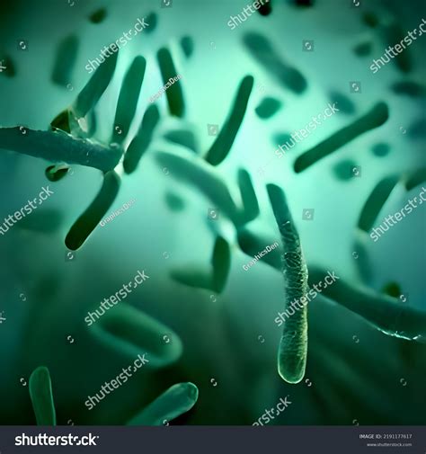박테리아 생물학적 개념 마이크로 프로바이오틱 유산균의 스톡 일러스트 2191177617 Shutterstock