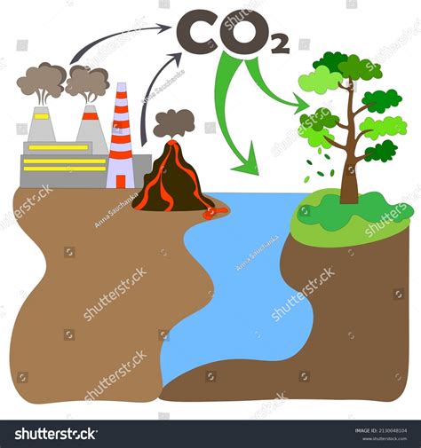 Carbon Offset Compensation Scheme Reduce Emissions 库存矢量图（免版税）2130048104 Shutterstock