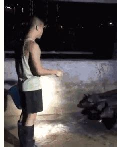 立正图片 立正动态图 立正表情包gif动图下载 SOOGIF