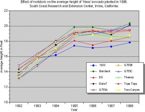 Tree Heights Avocado Variety Collection