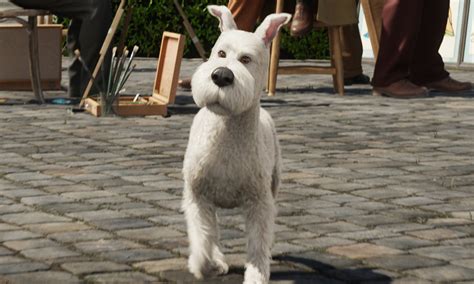 ‘the Adventures Of Tintin By Steven Spielberg Review The New York Times